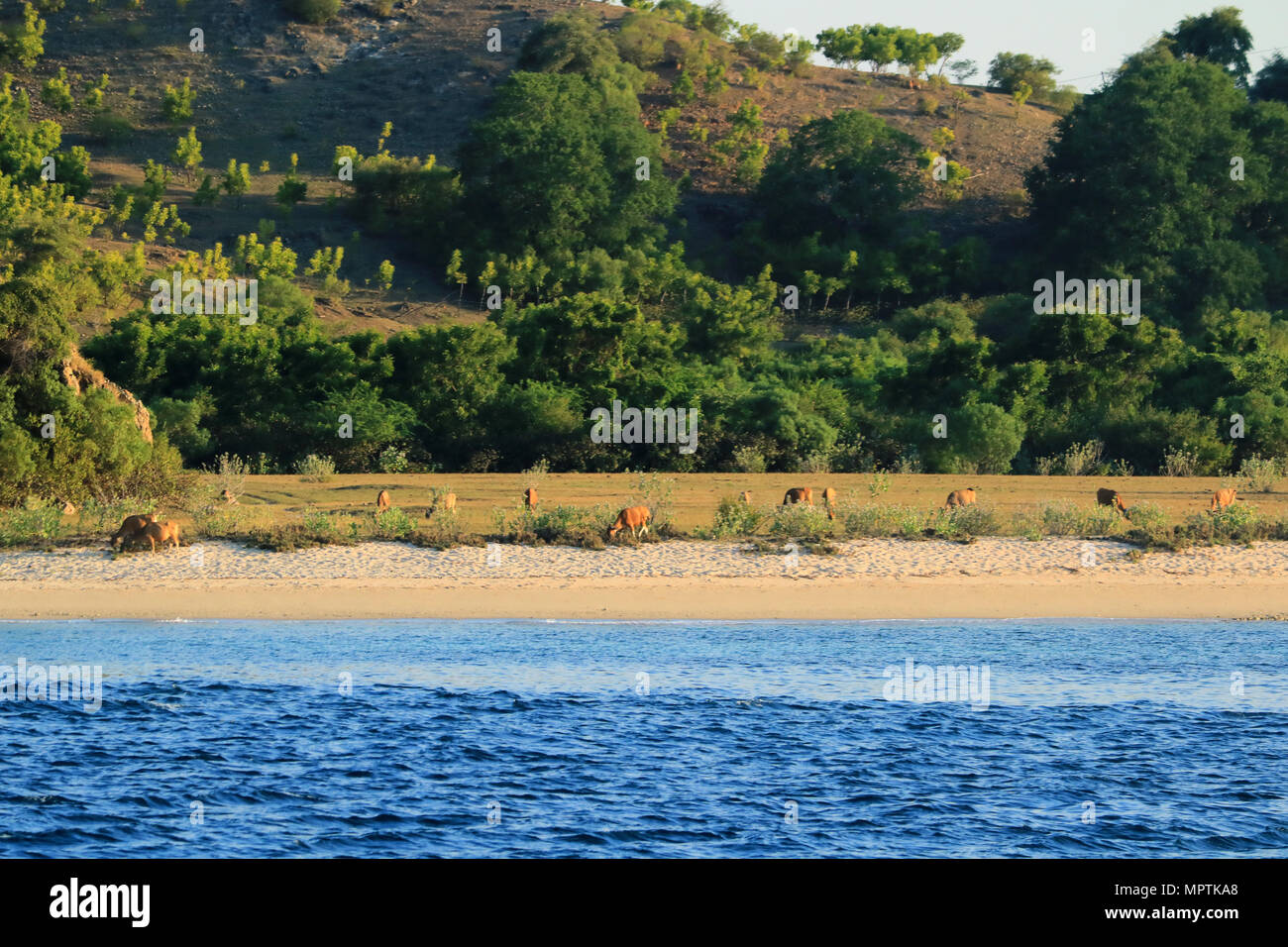Sumbawa is an Indonesian island, located in the middle of the Lesser ...