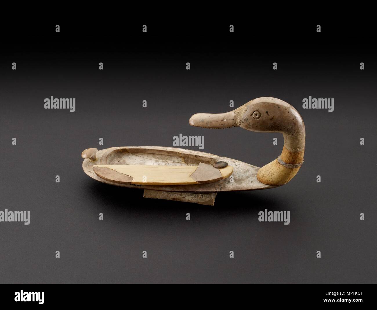 Ivory beak hi-res stock photography and images - Alamy