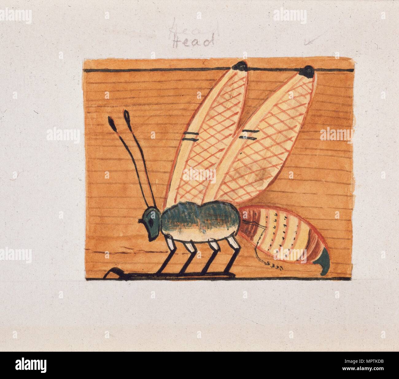 Anna macpherson hi-res stock photography and images - Alamy