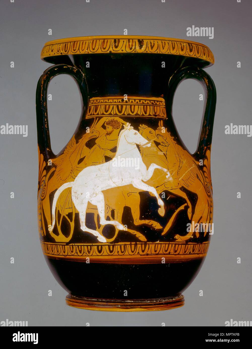 Pelike hi-res stock photography and images - Alamy