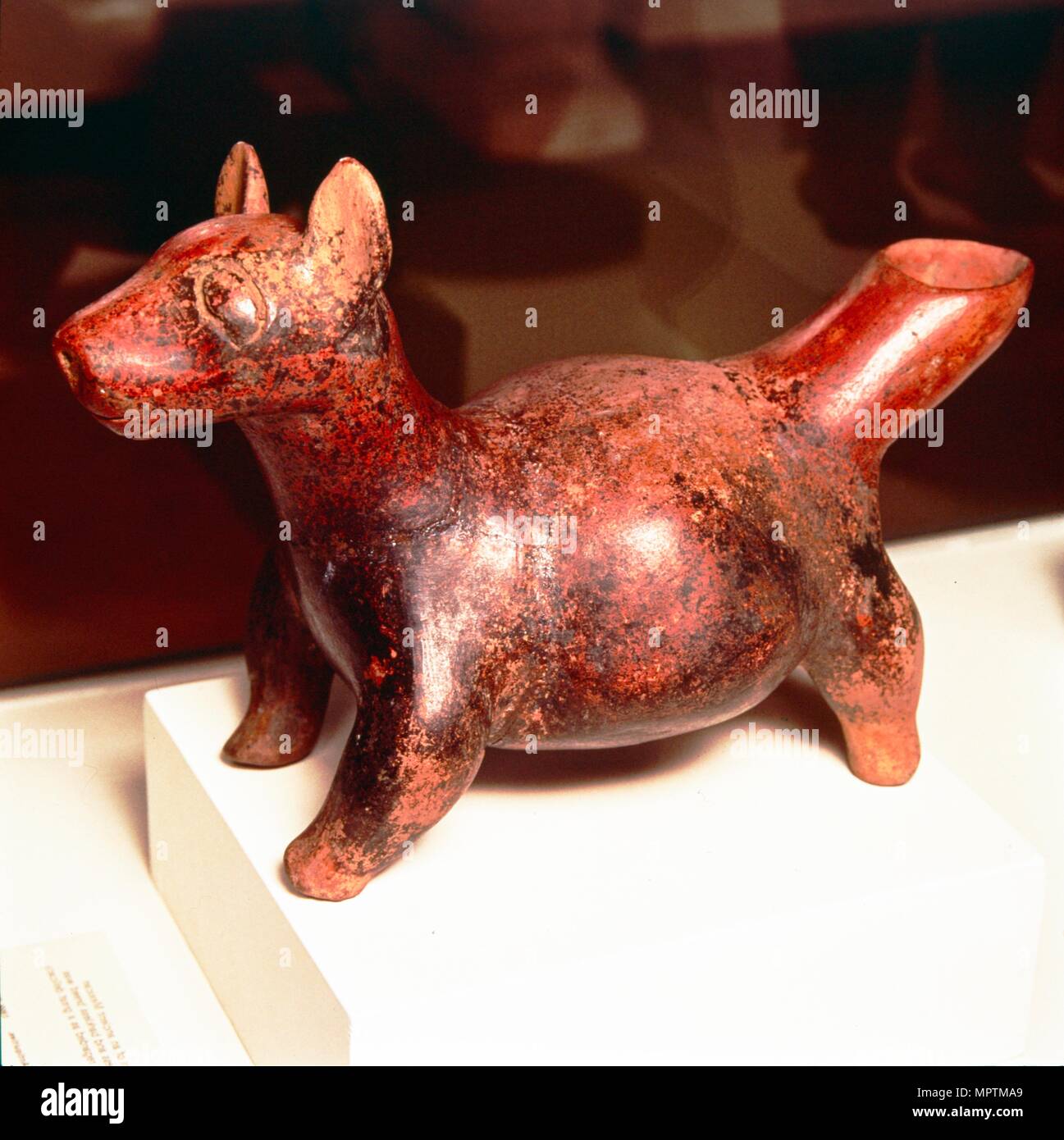 Pottery vessel of Ancient breed of Mexican dog, Colima Culture, Mexico ...
