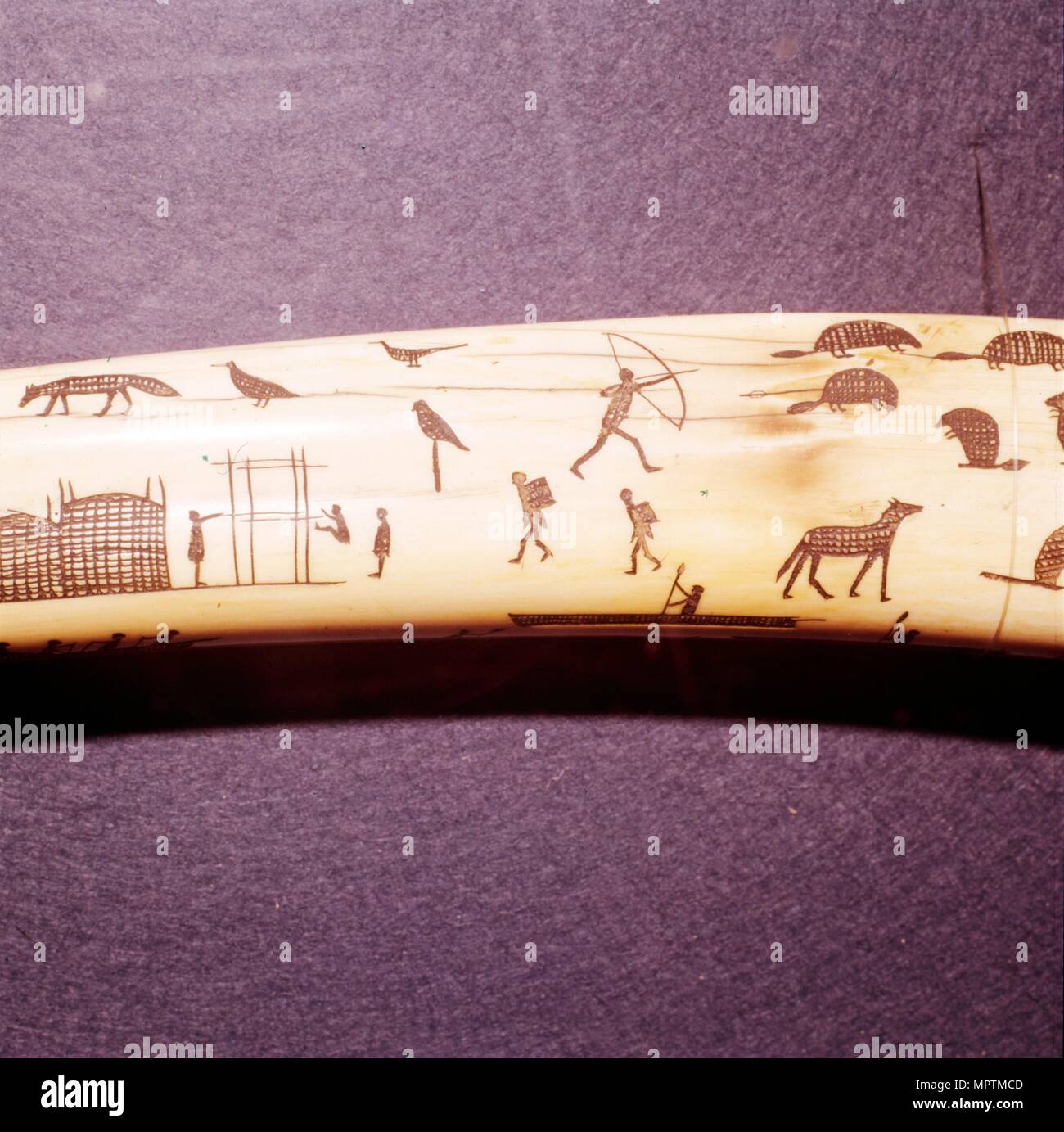 Eskimo Scene Detail of engraved walrus tusk, Western Eskimo. 19th ...