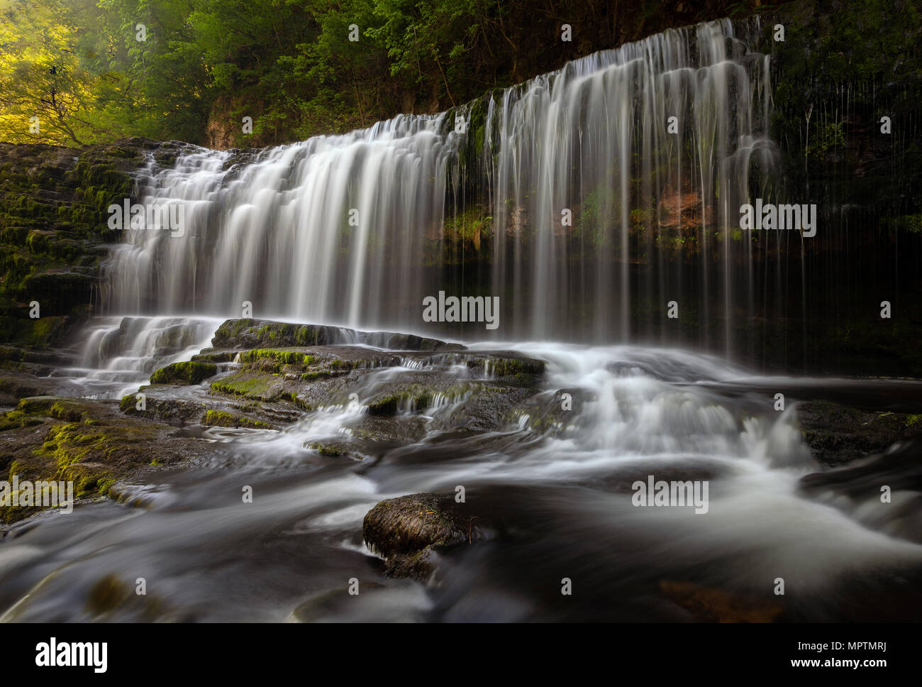 Clun forest hi-res stock photography and images - Alamy