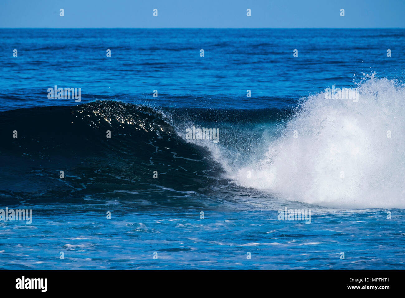 big beautiful blue wave for surfer. ocean of tenerife with power and ...