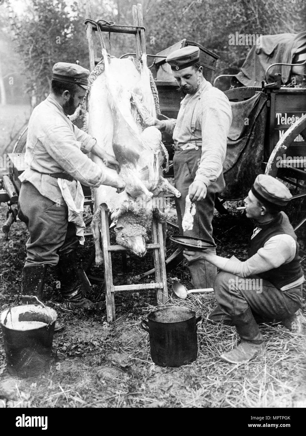 Sheep butchering Black and White Stock Photos & Images - Alamy