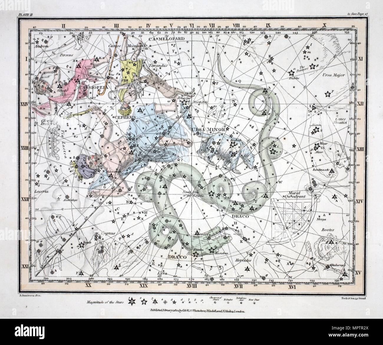 The Constellations (Plate II) Ursa Minor, Cassiopeia, Tarandus, Cepheus ...