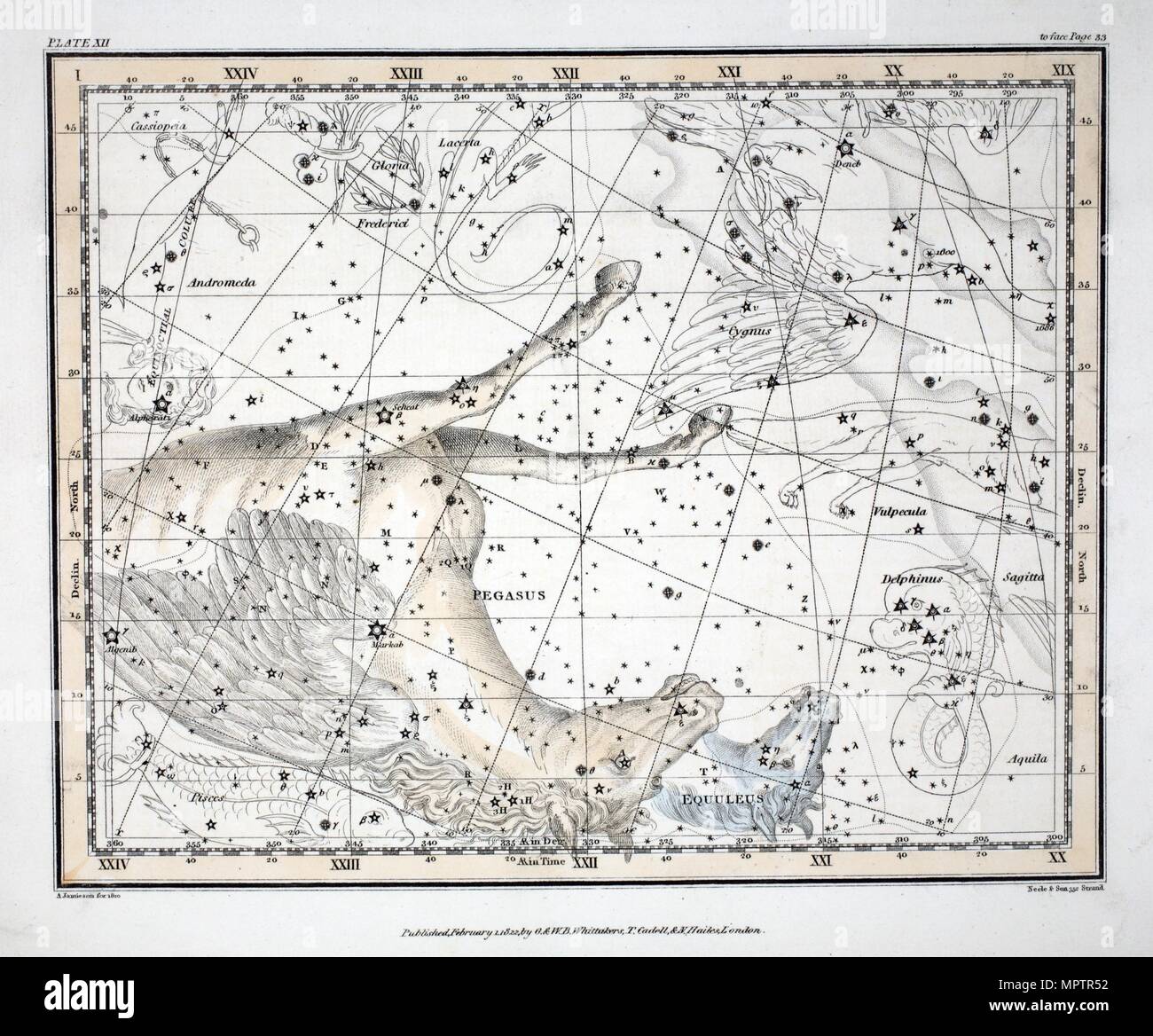 Pegasus constellation pegasus hi-res stock photography and images - Alamy