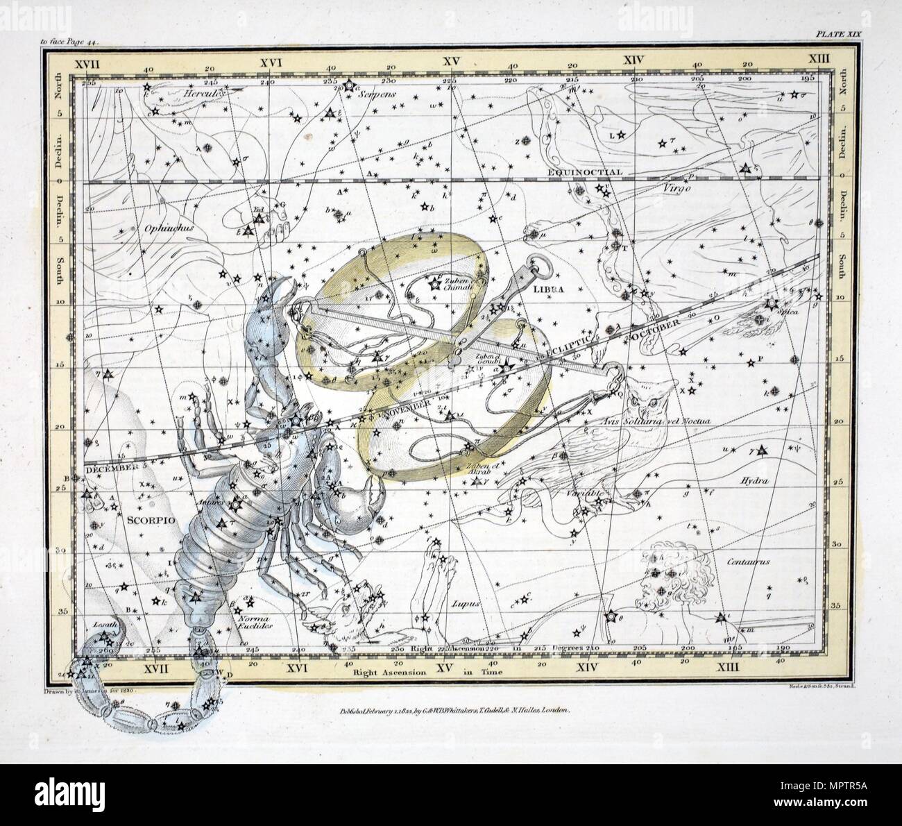 Scorpio Star Map Zodiac High Resolution Stock Photography and Images ...