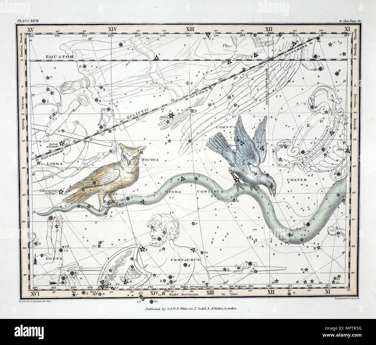 The Constellations (Plate XXVII) Hydra Continua, Crater, Covus ...