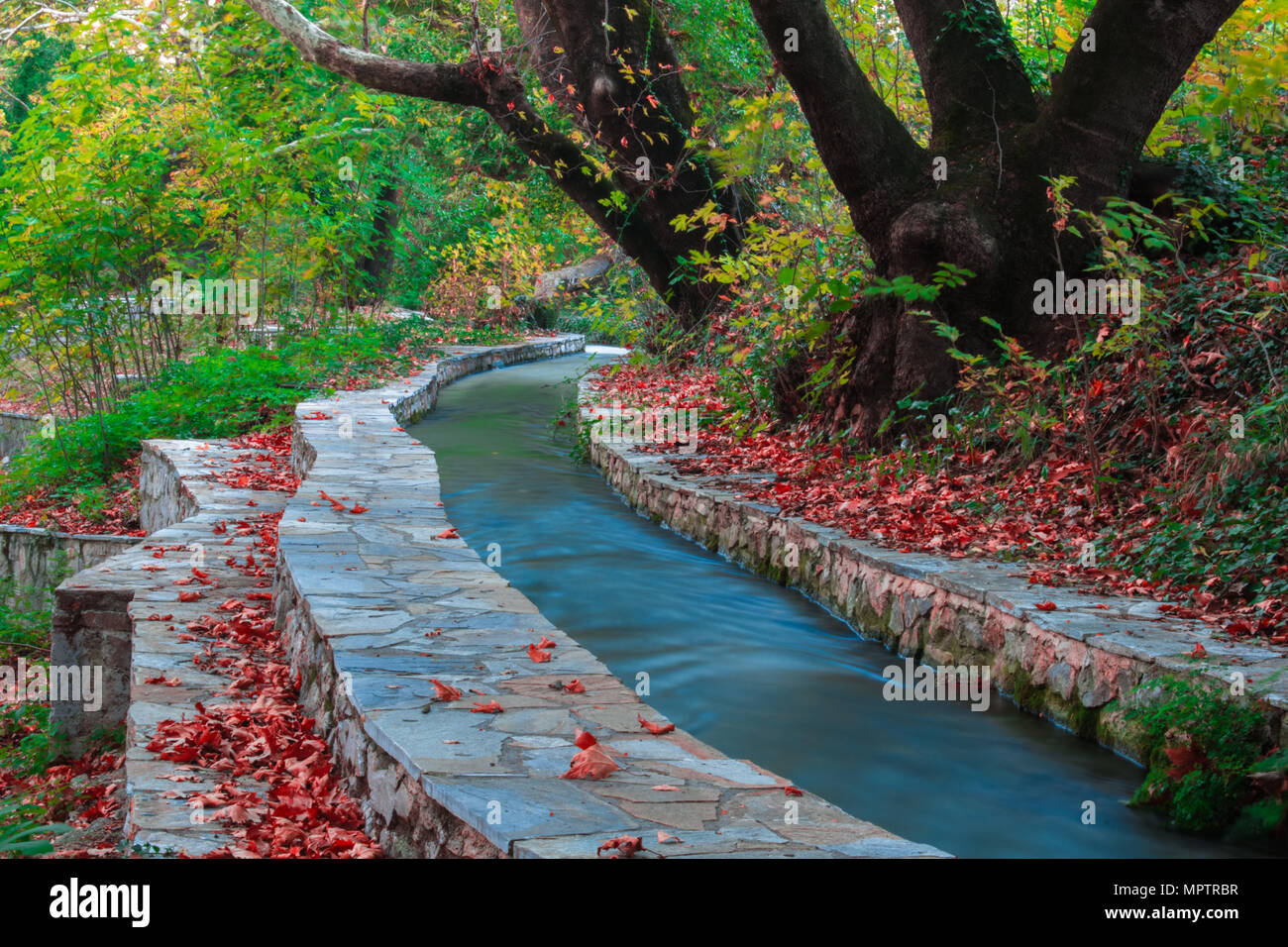 River path by river stream path by stream moody hi-res stock ...