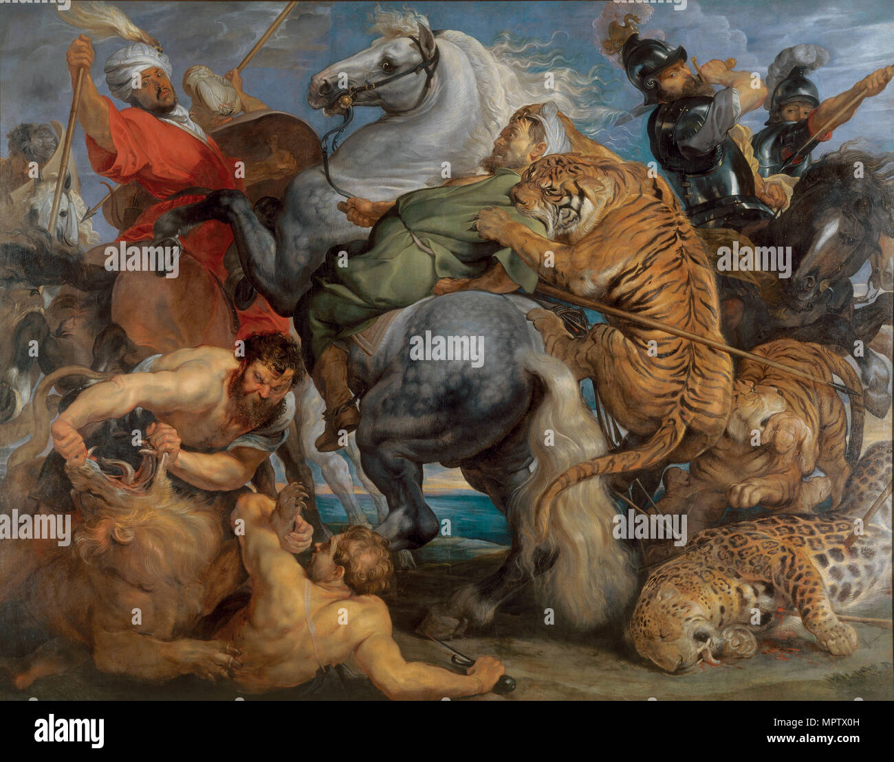 Tiger, Lion and Leopard Hunt Stock Photo - Alamy