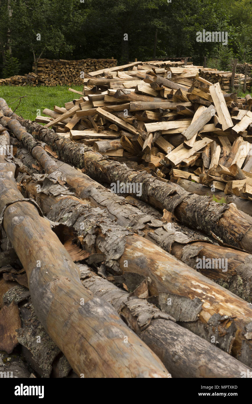 Stere De Bois High Resolution Stock Photography and Images - Alamy