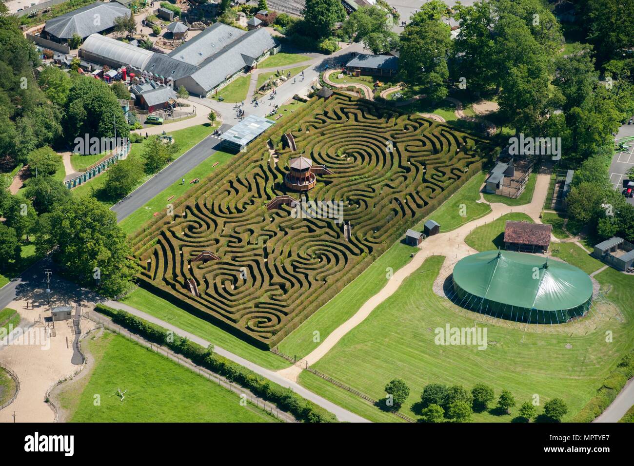 Maze, Longleat, Wiltshire, 2015. Artist: Damian Grady Stock Photo - Alamy