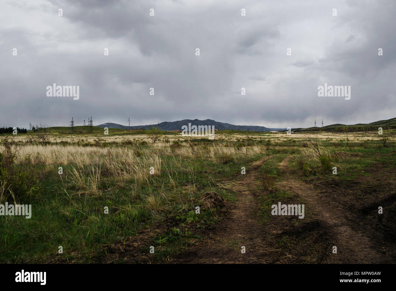 Steppe landscape. Natural background. Steppe horizon. Grunge nature ...
