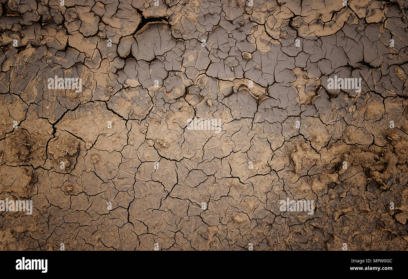 Brown dry soil. Soil background. Grunge soil. Grunge background ...
