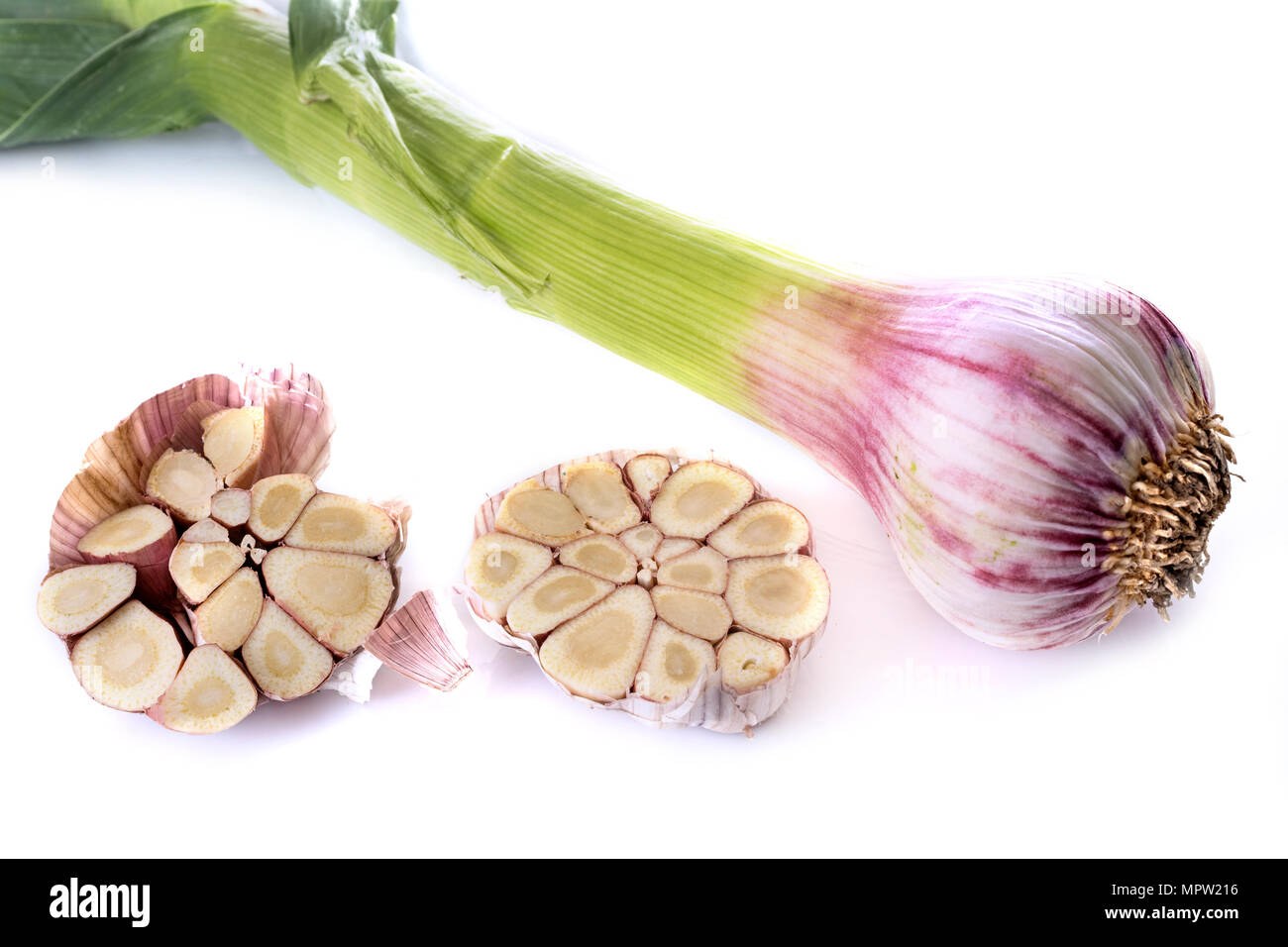 fresh garlic in front of white background Stock Photo - Alamy