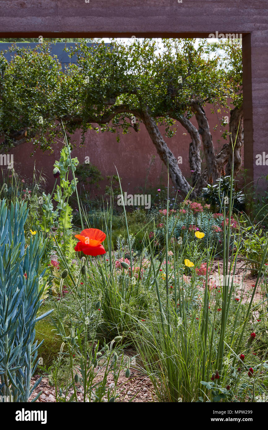 Sarah price chelsea 2018 garden hi-res stock photography and images - Alamy