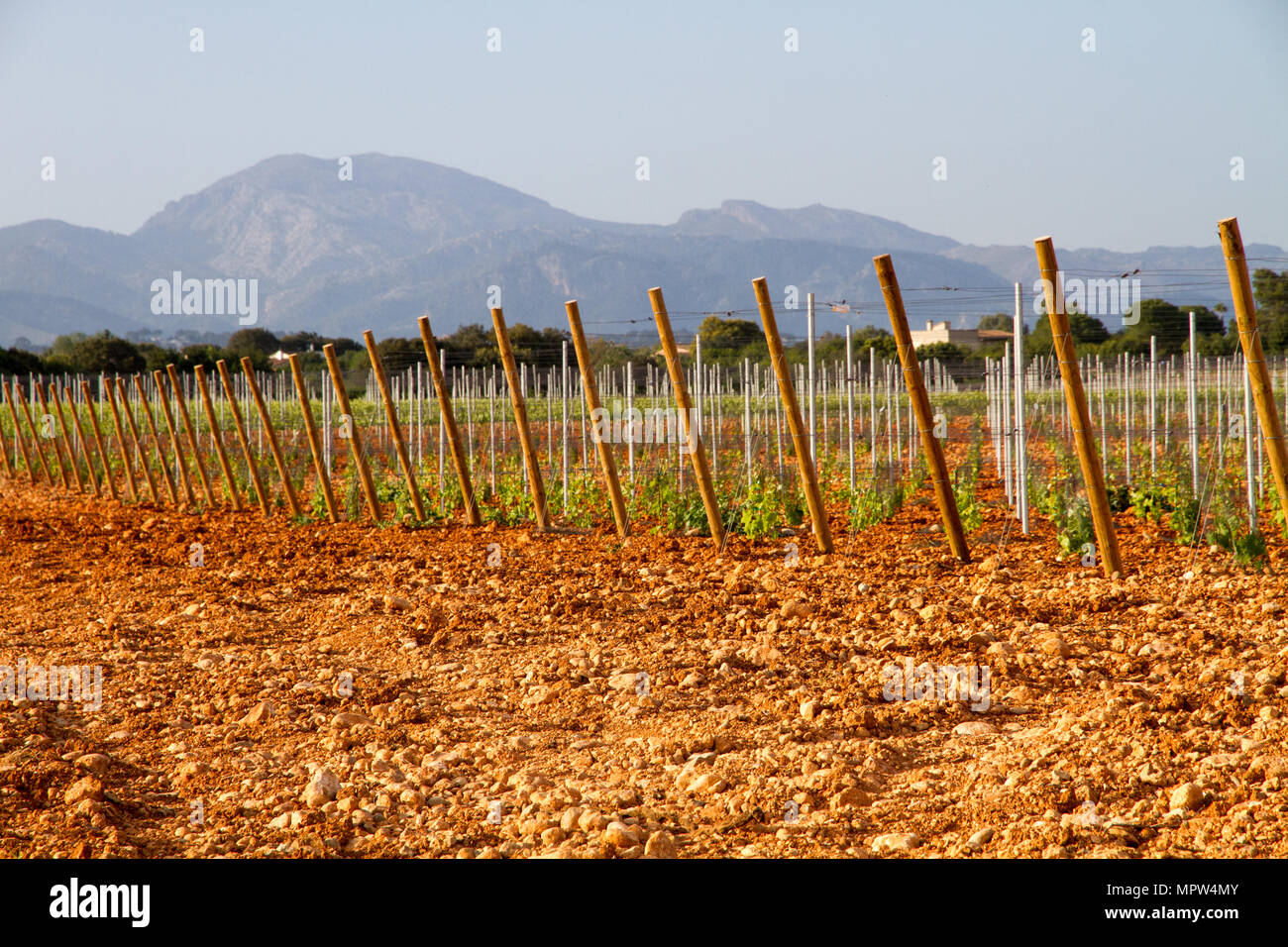 Mallorcan countryside hi-res stock photography and images - Alamy