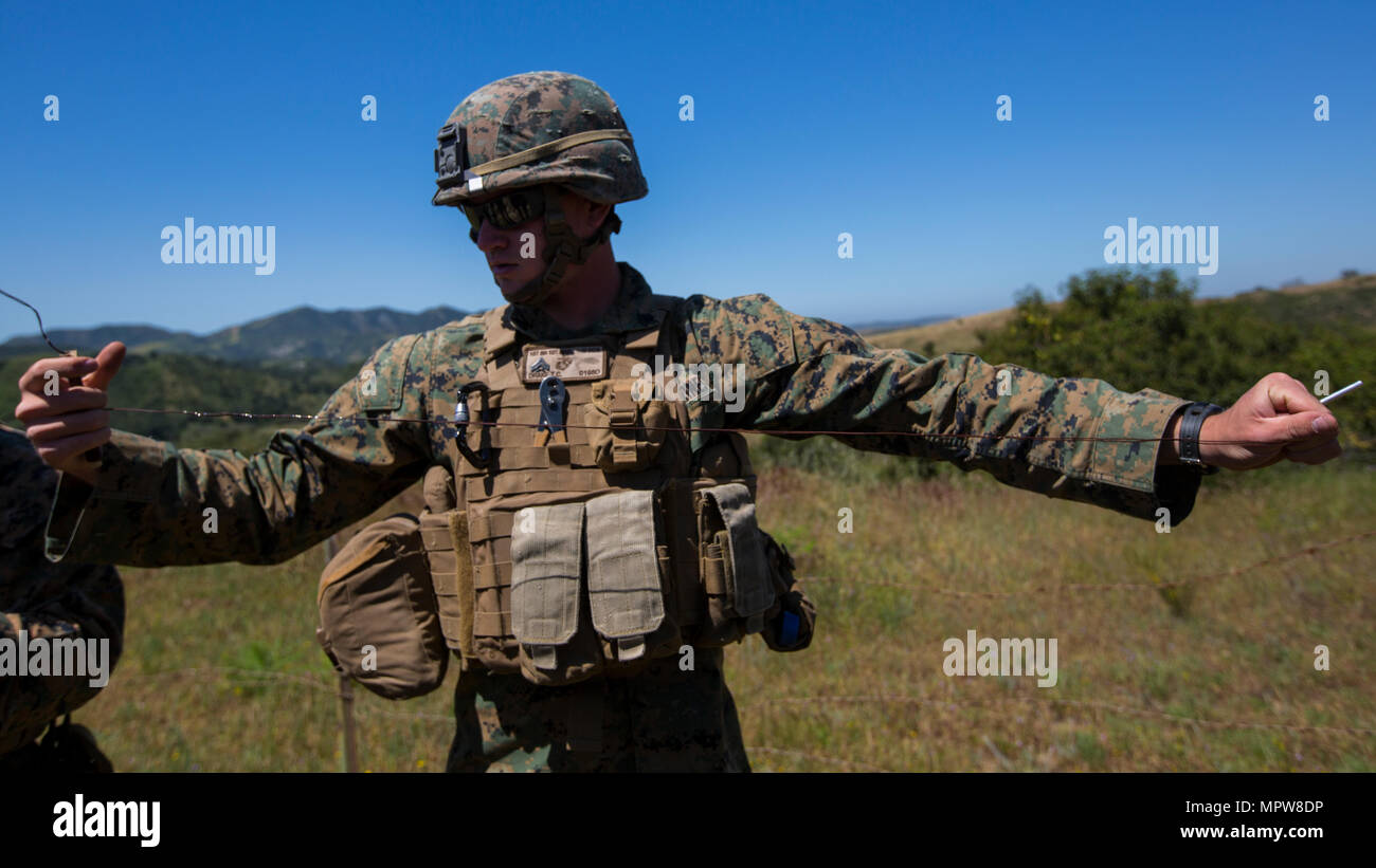 U.S. Marine Corps Cpl. Taylor Drake a combat engineer with 1st Combat ...