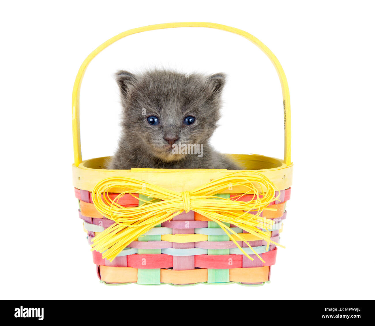 Little baby in festive Cut Out Stock Images & Pictures - Alamy