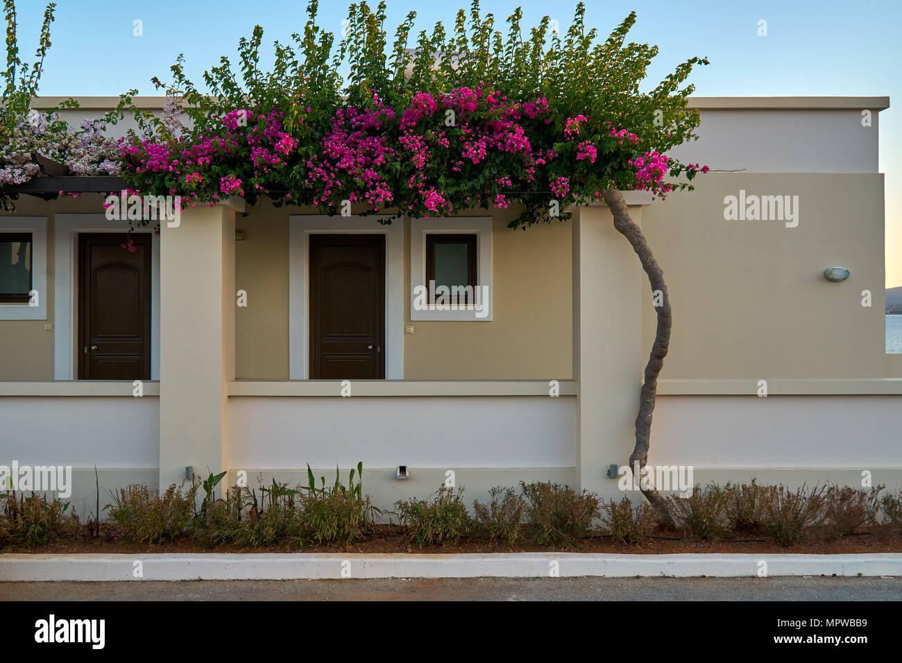Blossoming trees decorate entrance to private hotel under clear sky at ...