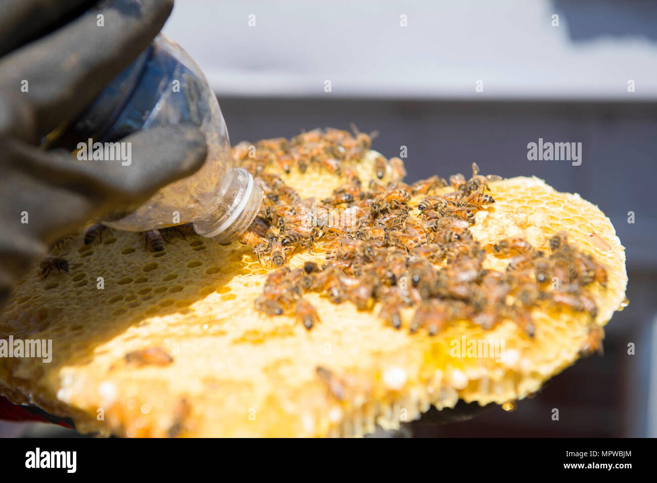 VIRGINIA BEACH, Va. (April 11, 2017) Chief Fire Controlman Jason Mosher ...
