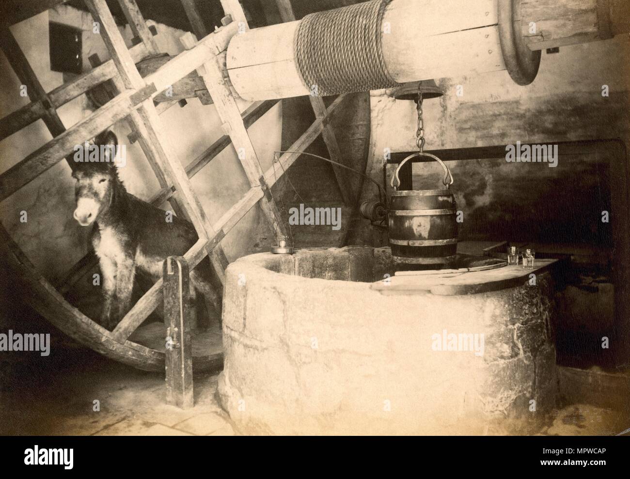 Donkey in the Well House, Carisbrooke Castle, Isle of Wight, c1850 ...