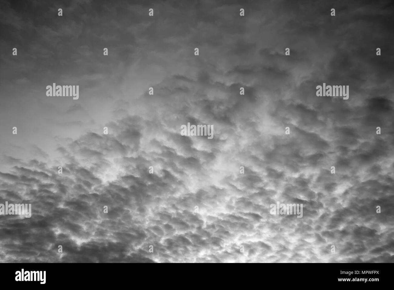 Environment gale gray hi-res stock photography and images - Alamy