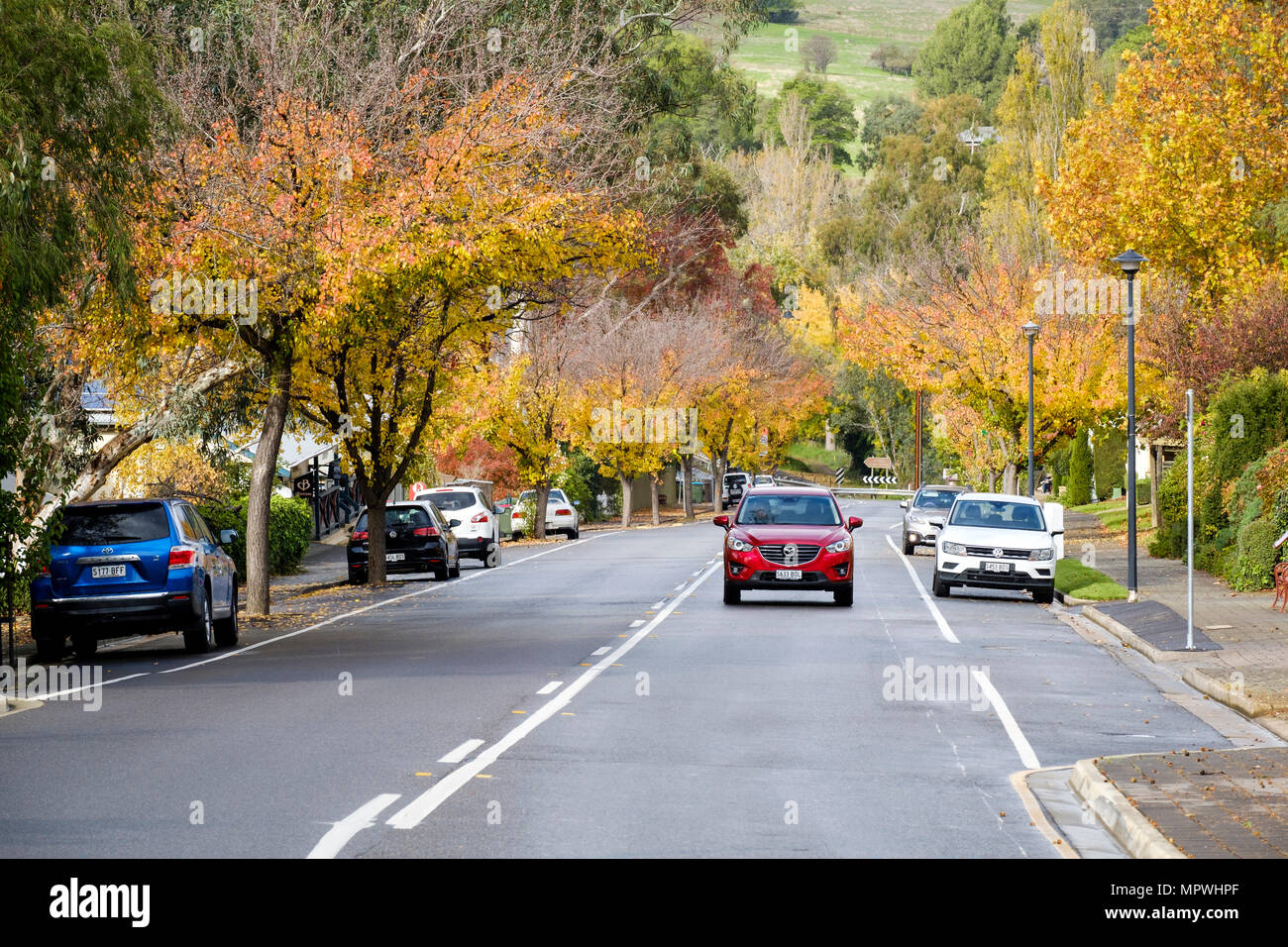 The colourful Autumn leaves in the Adelaide hills town of Clarendon ...