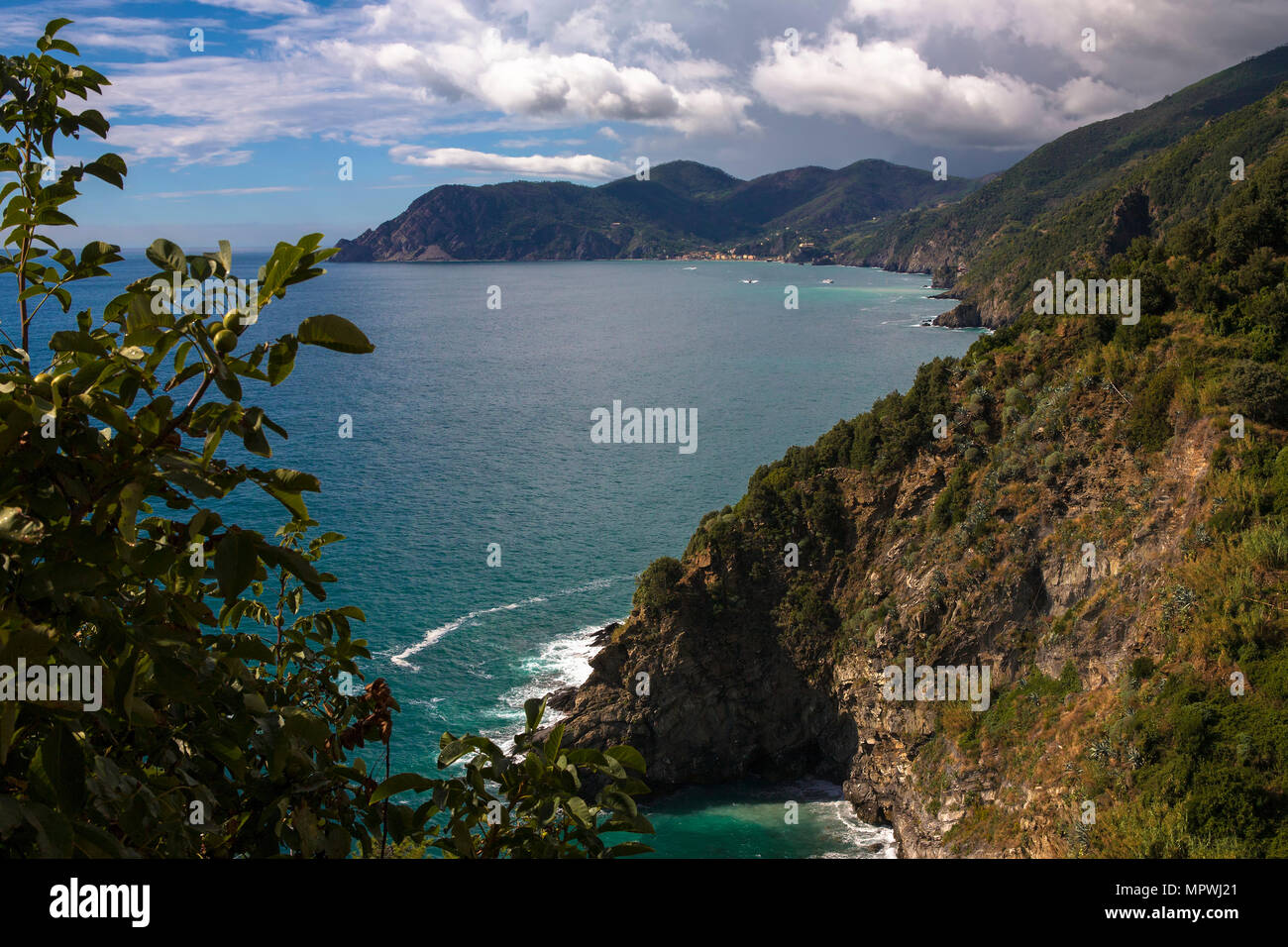 Parco di mare hi-res stock photography and images - Alamy