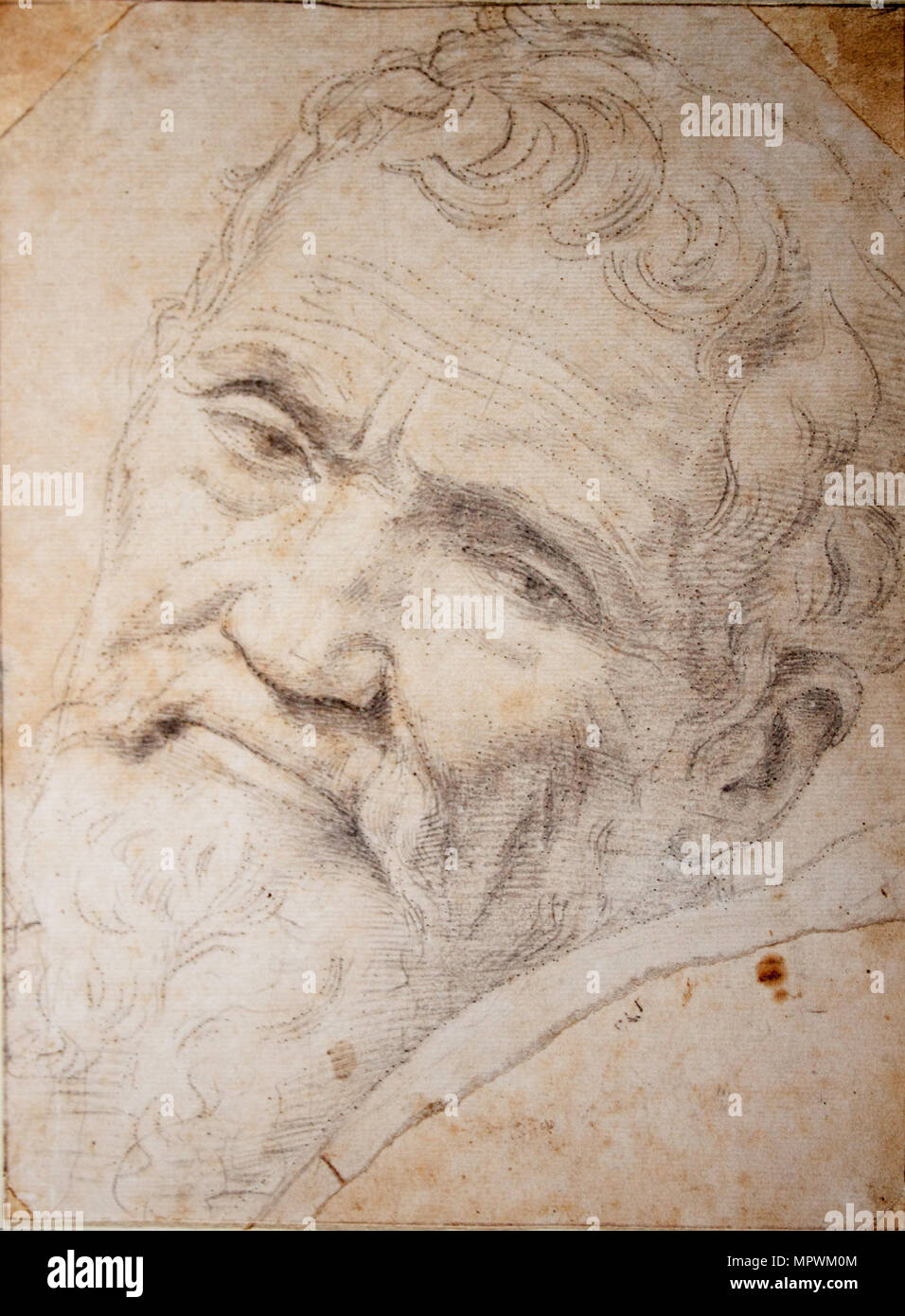 Portrait of Michelangelo Buonarroti (1475-1564), c. 1550 Stock Photo ...