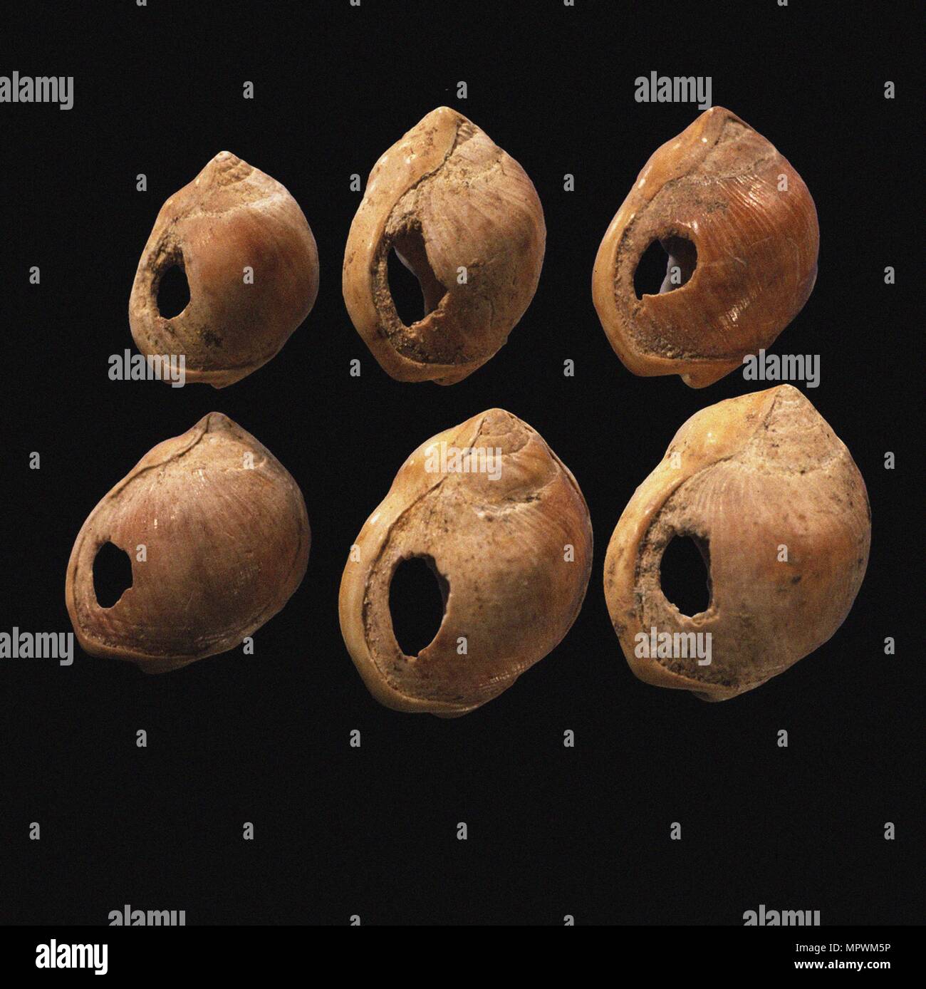 Perforated shell beads from Blombos Cave, South Africa. The oldest ...