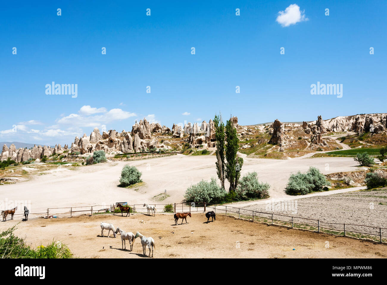 Cappadocia horse hi-res stock photography and images - Alamy
