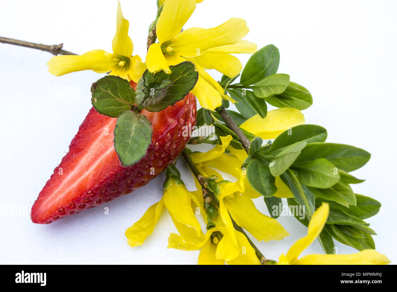 The fresh strawberry with laburnum and peppermint Stock Photo - Alamy