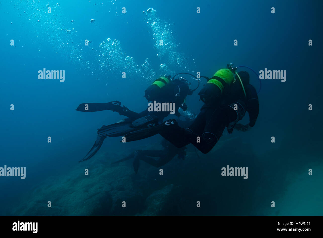 three divers in immersion, fuerteventura canary islands Stock Photo - Alamy