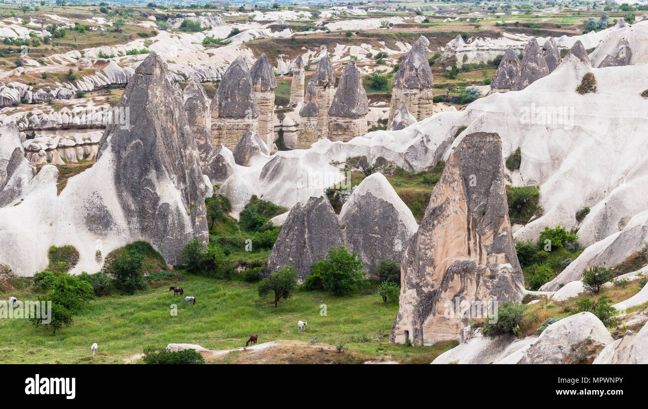 Travel to Turkey - rural landscape with rock houses in Goreme National ...