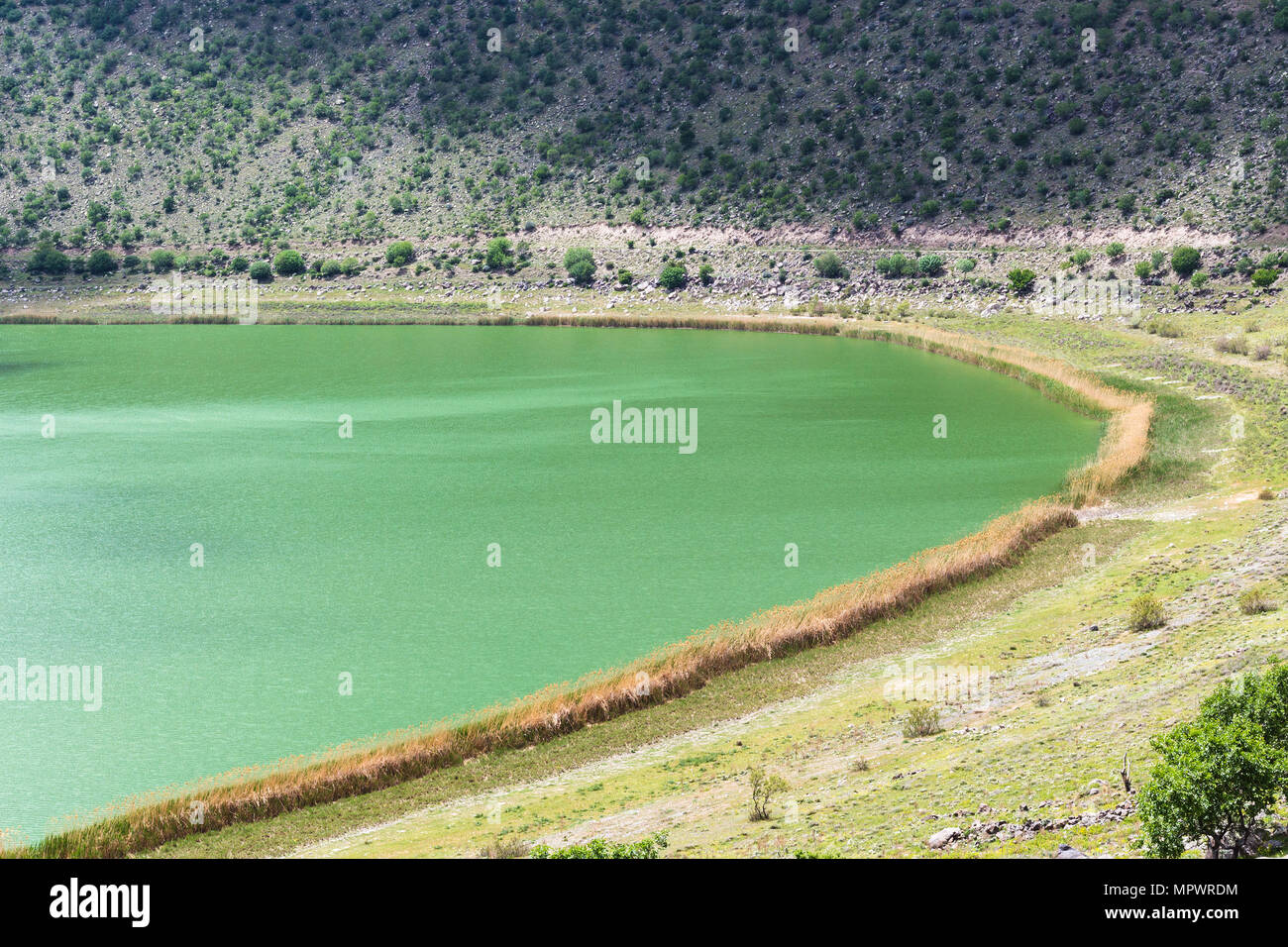 Travel to Turkey - green water of Narlıgol Crater Lake (Lake Nar) in ...