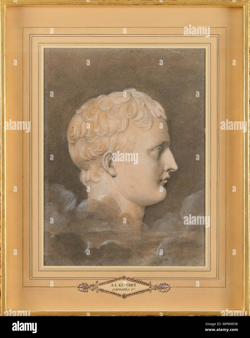 Profile of Napoléon I Bonaparte (1769-1821), 1812 Stock Photo - Alamy