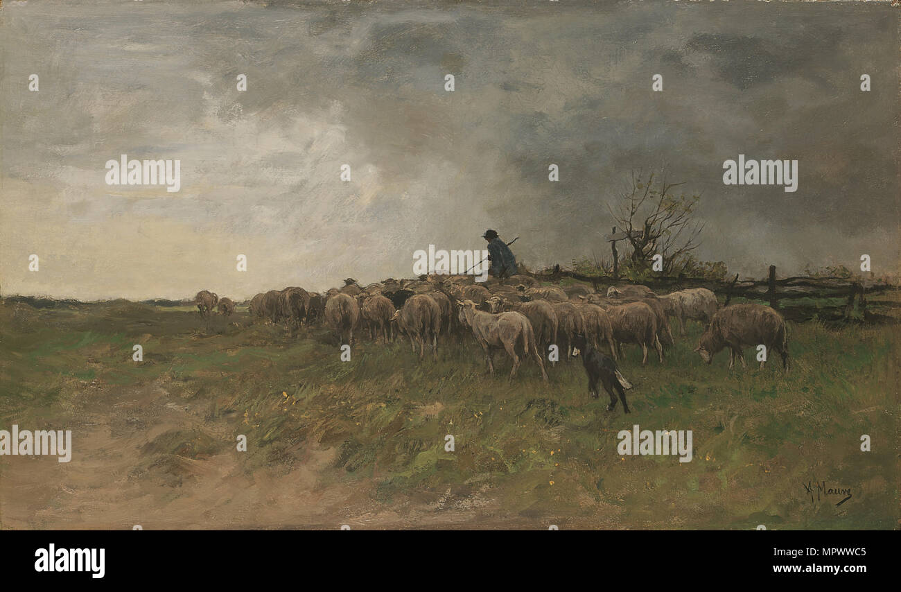 Shepherd with his flock Stock Photo - Alamy