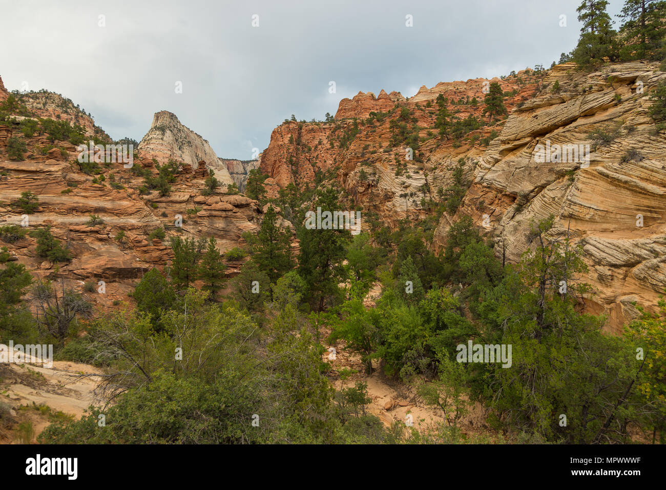 Beautiful scenery in Zion National Park. The Park is located in ...