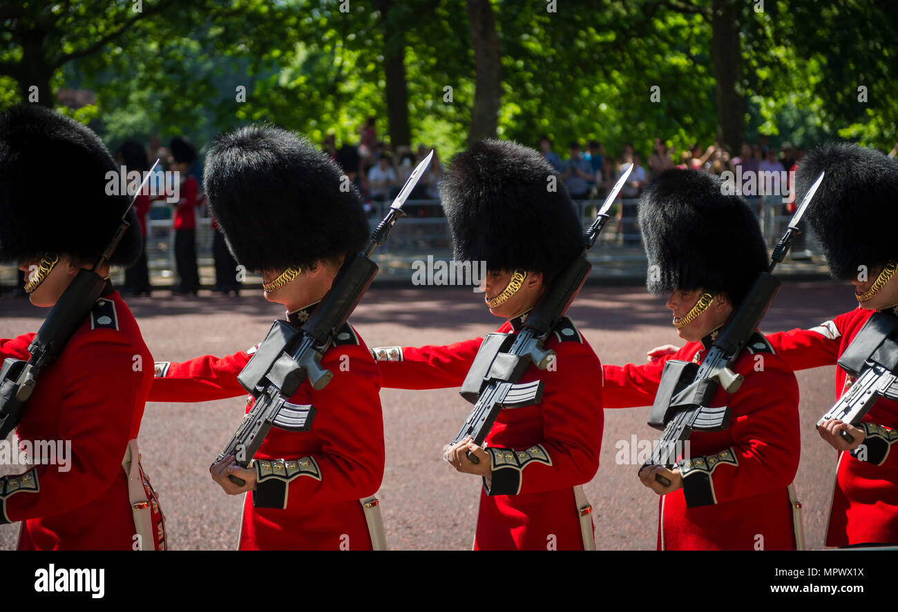 LONDON - JUNE 17, 2017: Queens guards in traditional red coats and bear ...