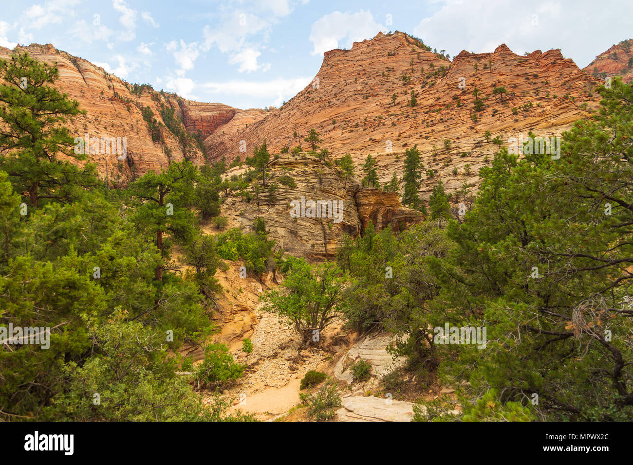 Beautiful scenery in Zion National Park. The Park is located in ...