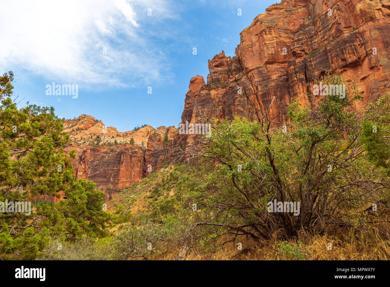 Beautiful scenery in Zion National Park. The Park is located in ...