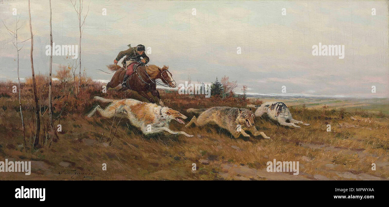 Wolf hunting with borzois Stock Photo - Alamy