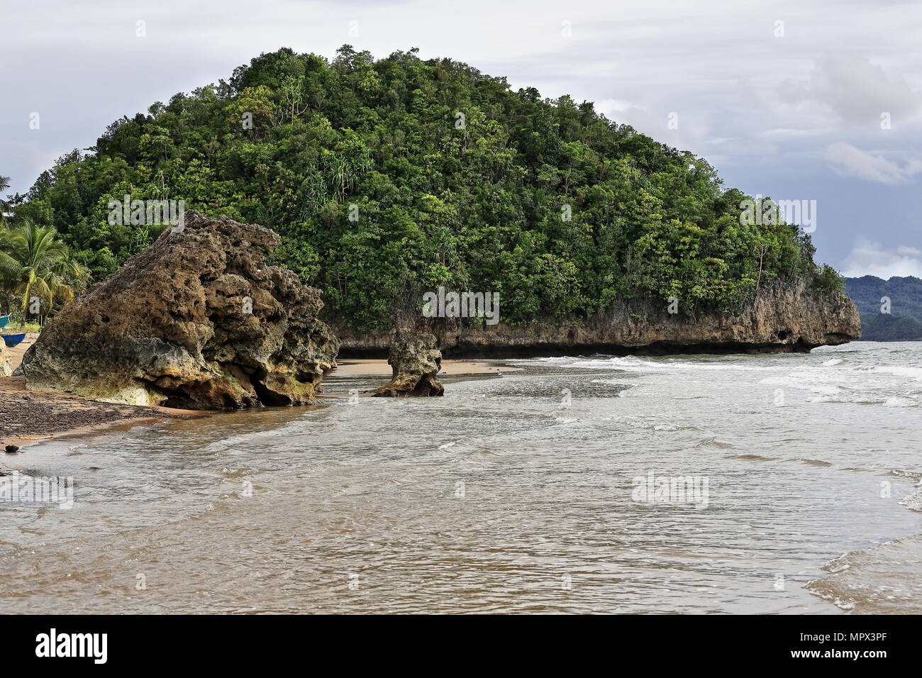 Jungle covered limestone headland jutting into the sea and rocky ...