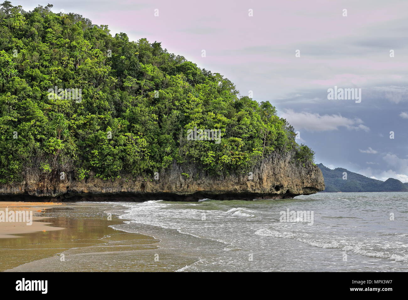 Jungle covered limestone headland jutting into the sea and waves ...