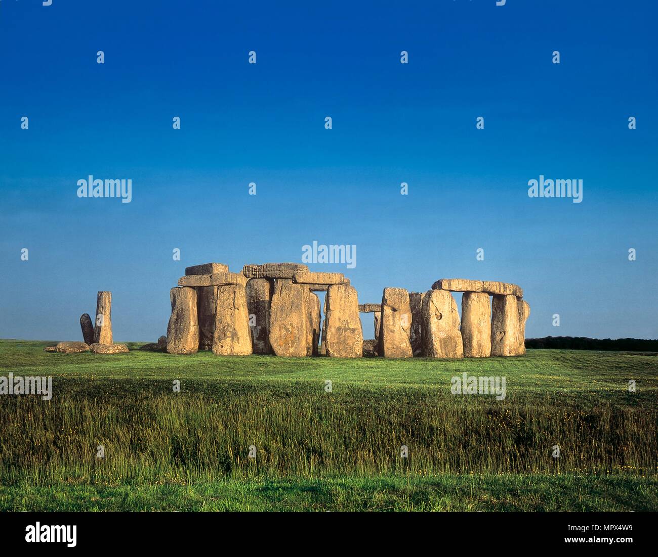 Stonehenge, Wiltshire. Artist: David Sellman Stock Photo - Alamy