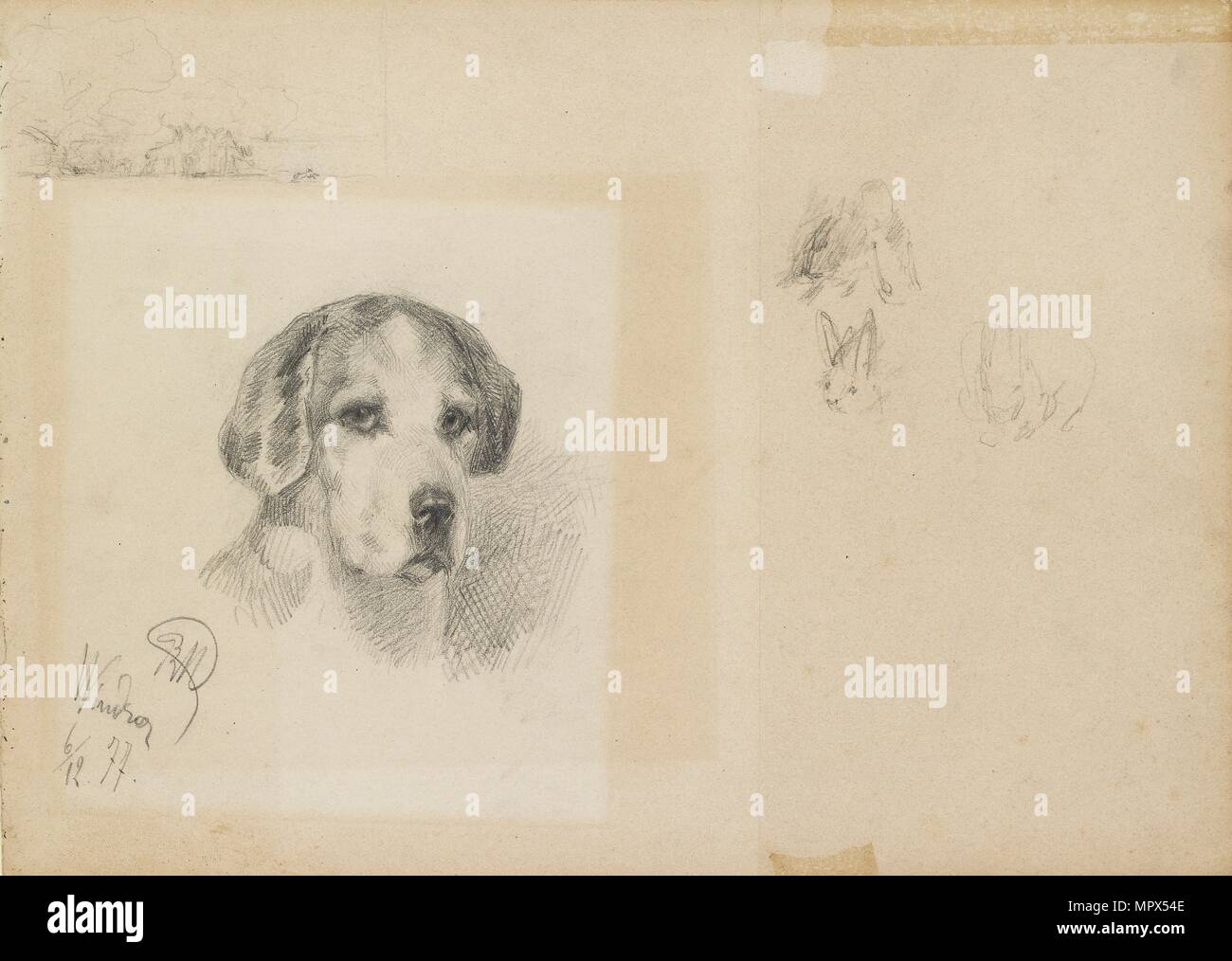 Portrait of a dog: Windsor, 1877. Artist: Rudolf Wimmer Stock Photo - Alamy
