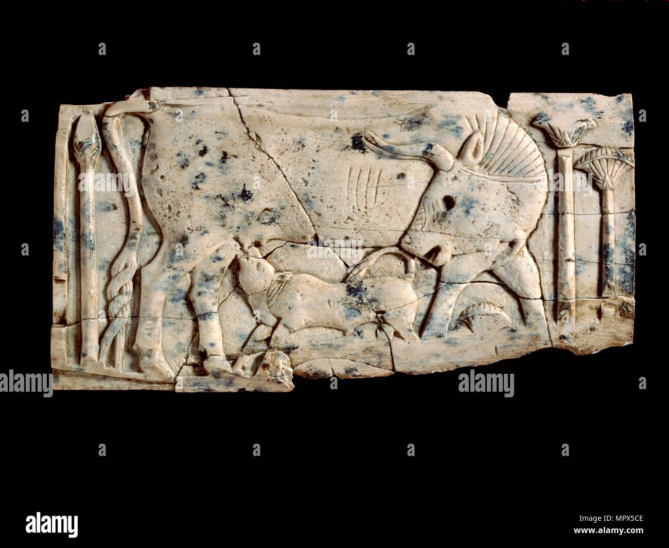 Ivory plaque hi-res stock photography and images - Alamy
