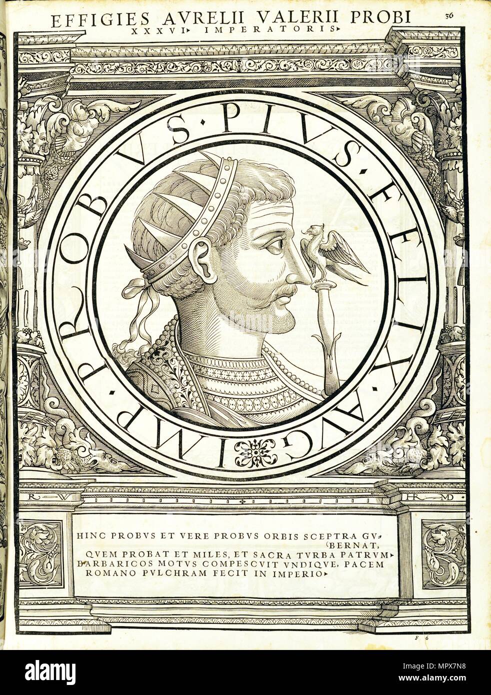 Probus hi-res stock photography and images - Alamy